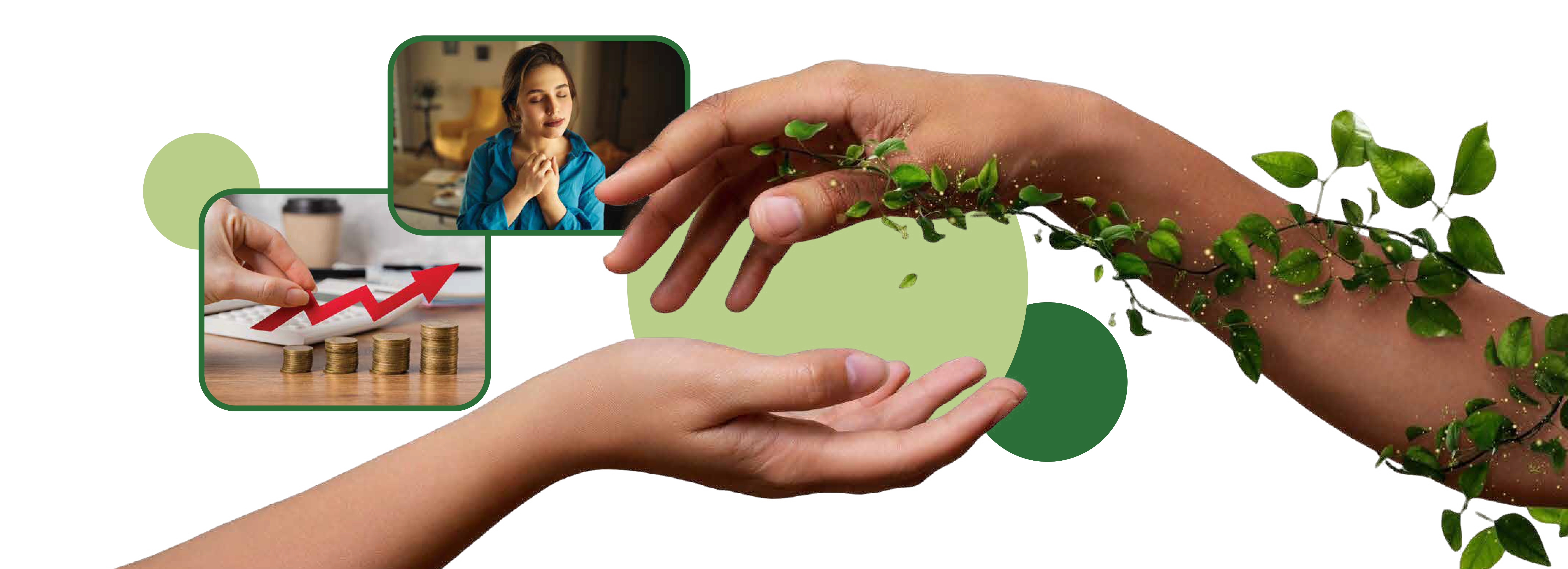 Shaping The Future Of Wellness–a Booming Industry